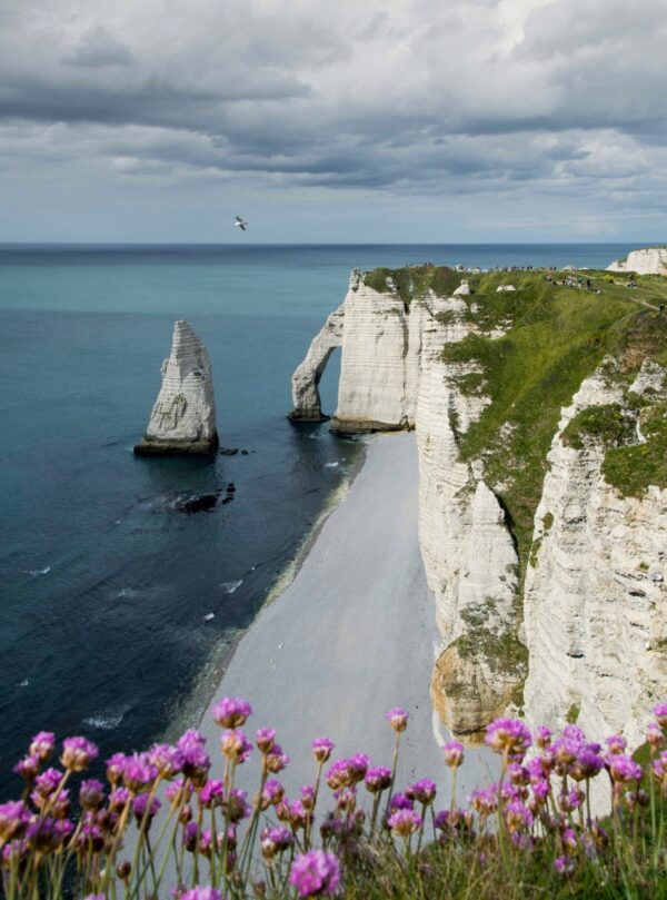 The Ultimate Normandy Guide