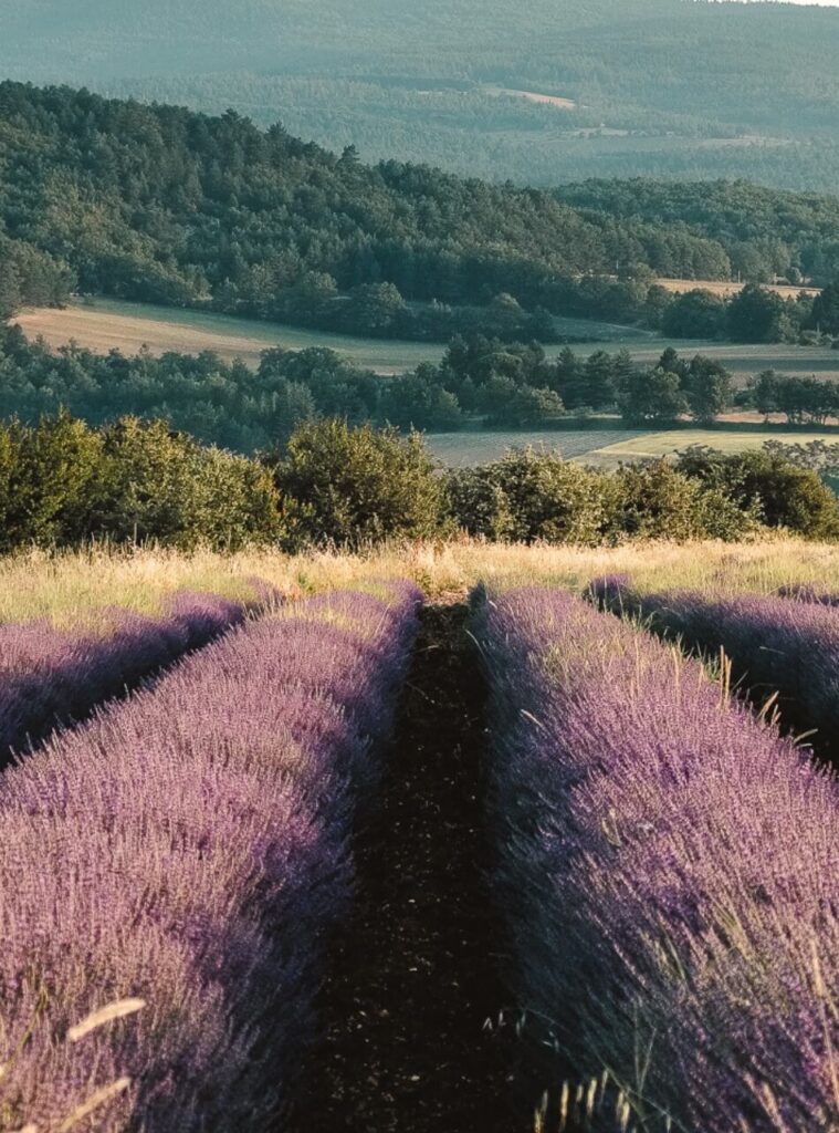 Unique Travel Experiences in France | MFCH Travel
