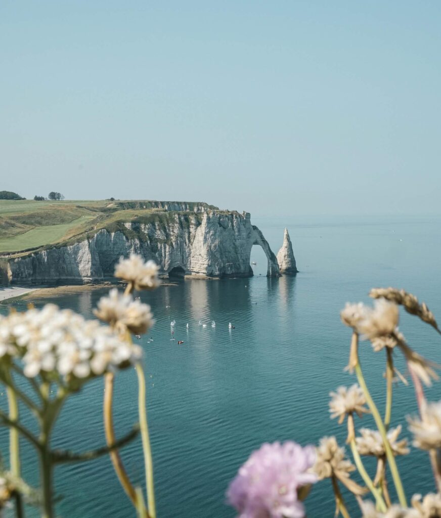 Normandy in Bloom: Gardens & Antiques
