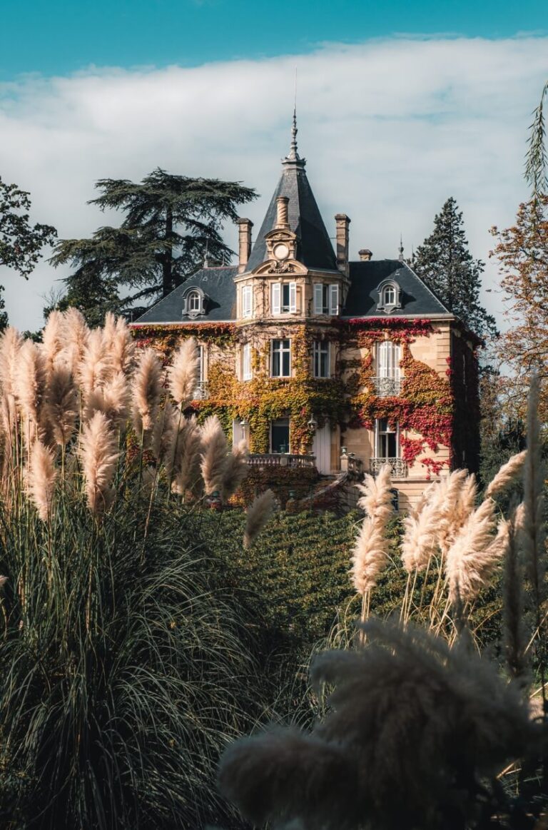 Unique Travel Experiences in France | MFCH Travel