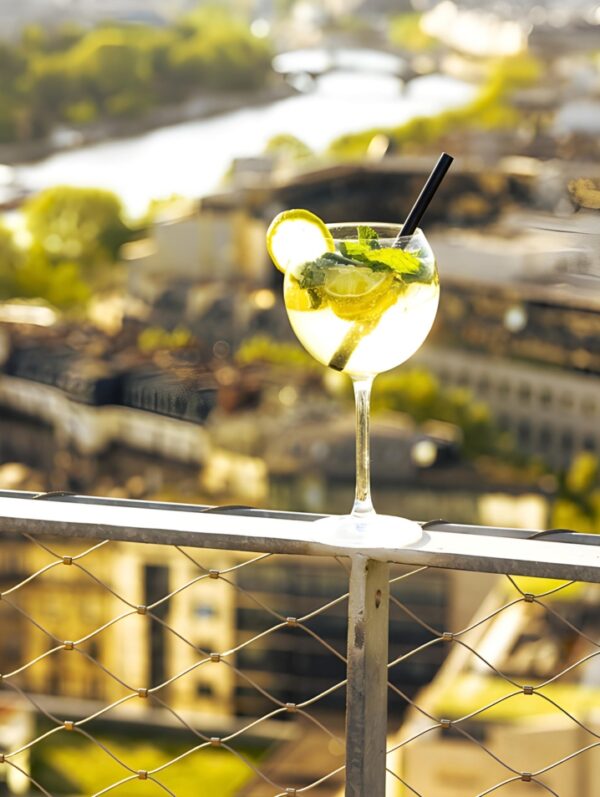 Top 10 Rooftop Restaurants in Paris