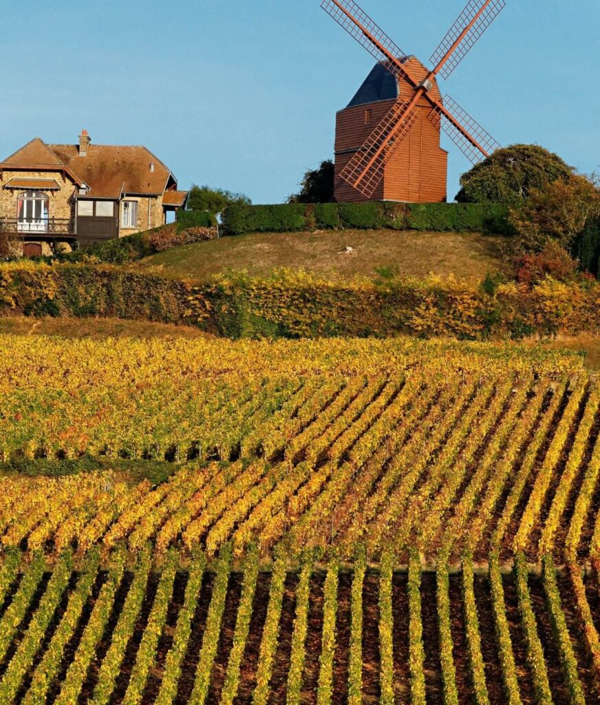 Champagne Travel Guide: Where to Stay, Eat, and Explore