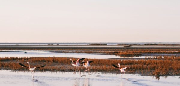 Best Destinations in France to Visit in Spring