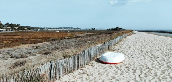 Best Destinations in France to Visit in Spring